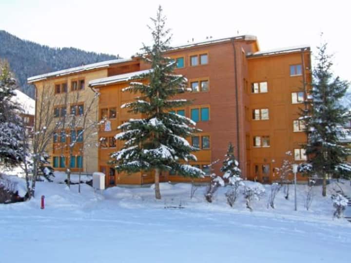 Eilander Sunshine - Fiesch