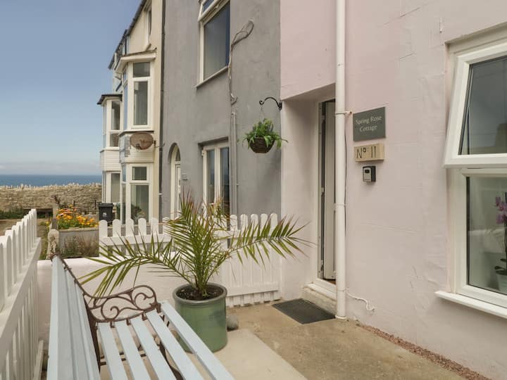 Spring Rose Cottage - Chesil Beach