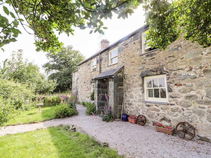 Pant Yr Iwrch - Conwy