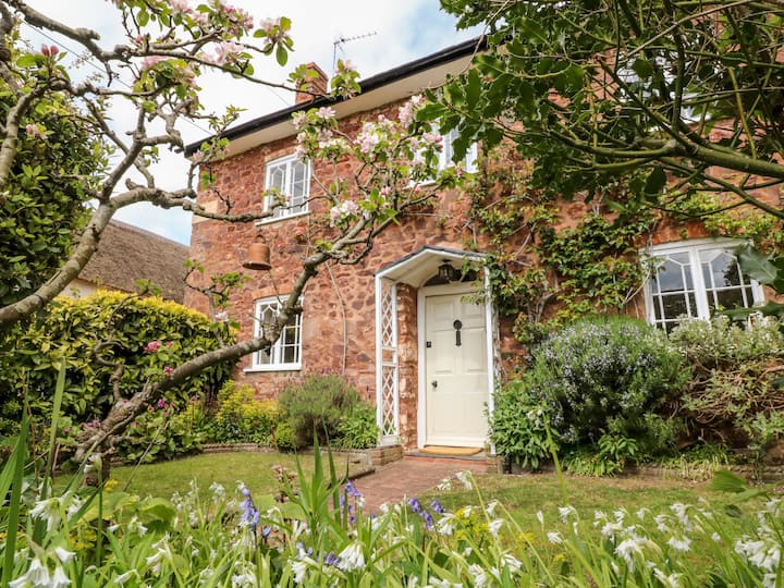 Vine Cottage - Minehead