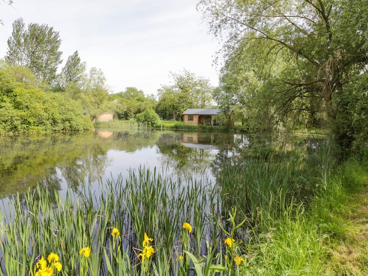 Willow - Draycote Water