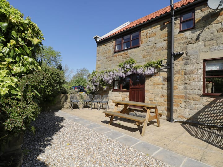 Goathland Cottage - Sandsend
