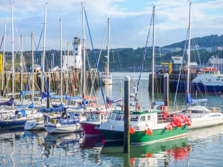 Picadore - Scarborough