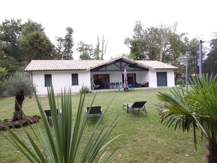 Maison Contemporaine Spacieuse Avec Jardin - Soustons