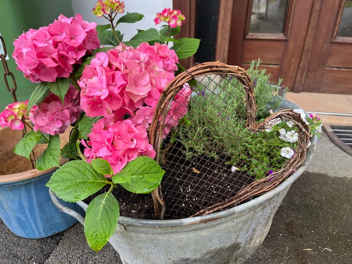 Wohnung Im Alten Bauernhaus Am Waldrand - Detmold