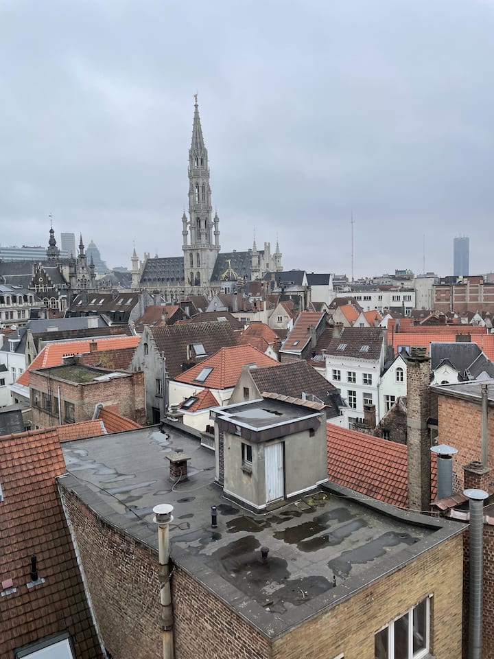 Grand Studio Cosy Au Cœur De Bruxelles - Bruselas, Bélgica