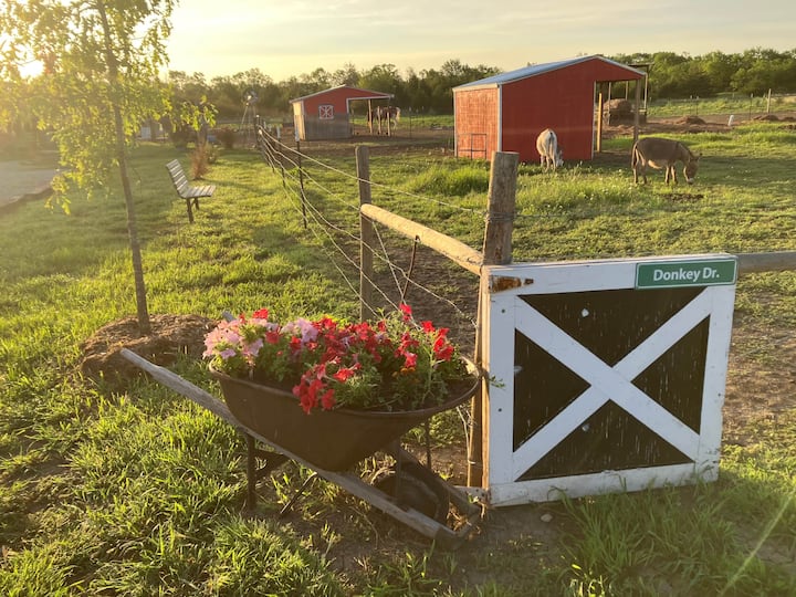 The Glamper At The Grit - Andover