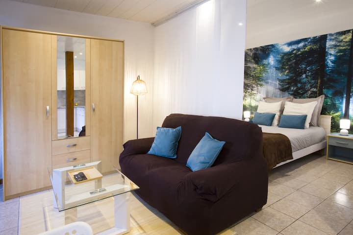 L’eden, Studio Avec Salon, Entre Colmar & Mulhouse - Ensisheim