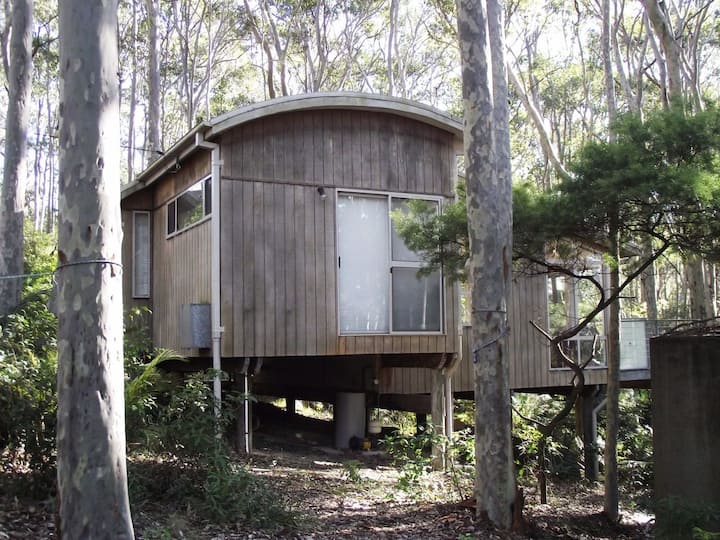 11 Burrawong Plc - Bushland Haven - Mimosa Rock