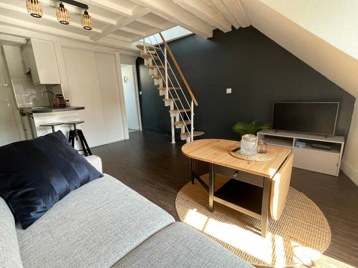 Duplex - Chez Florian - Fontainebleau