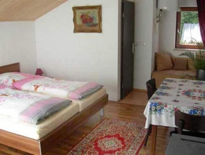 Triple Room (Pension "Zur Freiheit") - 帕薩