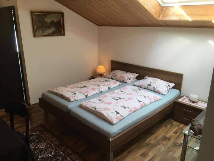 Double Room (Pension "Zur Freiheit") - Passau