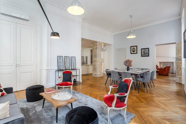 Charlie - Appartement Meublé 260m² - Centre Ville - Lyon