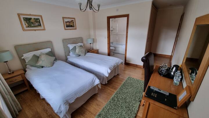 Twin Room - Rhayader
