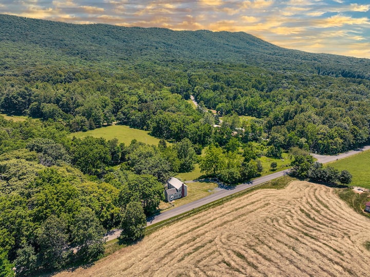 Jmu, Dog Friendly, Rec Passes, Hiking! - Massanutten, VA