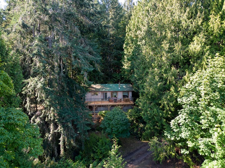 Ocean Vista In The Woods On Salt Spring Island, Bc - Salt Spring Island