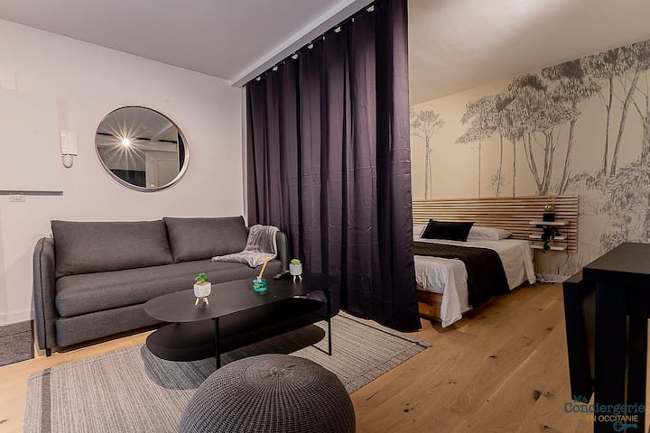 Filatiers- Studio 28 M Carmes Métro à 2 Min - Toulouse