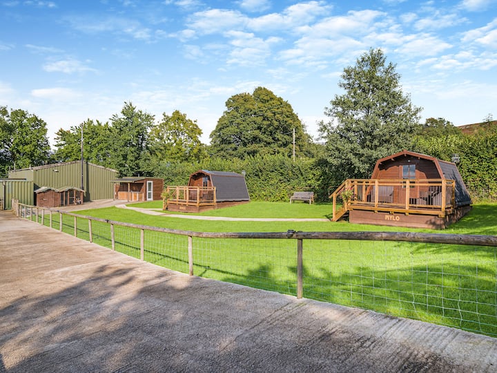 Milo - Uk45070 - Llandeilo