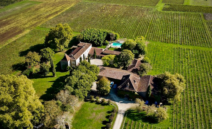 Château La Gineste - Castle And Vineyard - Puy-l'Évêque