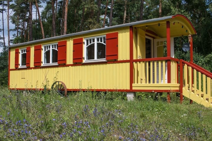 Ferienhaus Für 2 Gäste Mit 20m² In Lychen (242382) - Lychen