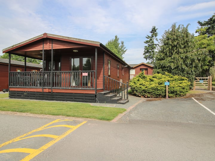 Snowdrop - Leominster