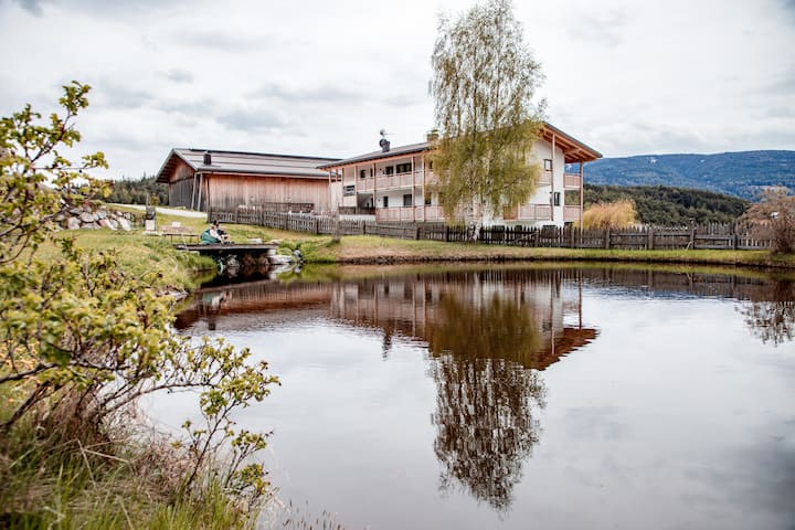 Kieserhof Apartment Wald - Terenten