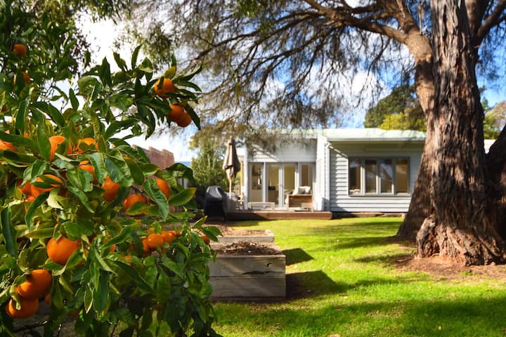 Seascape Of Flinders - Flinders