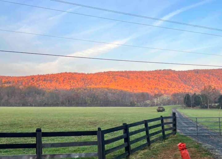 The Madelyn - Early Mountain Vineyards, Madison