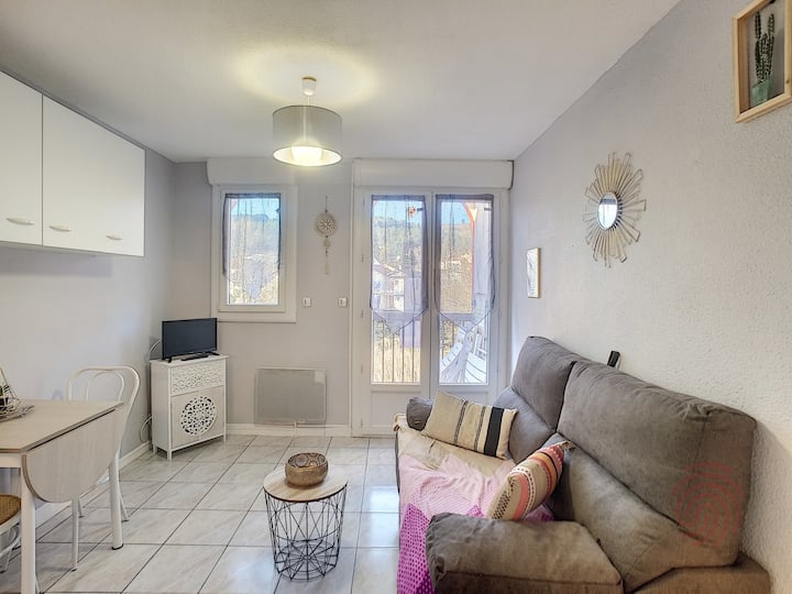 Studio Avec Balcon - Wifi Et Animaux Acceptés - Lamalou-les-Bains