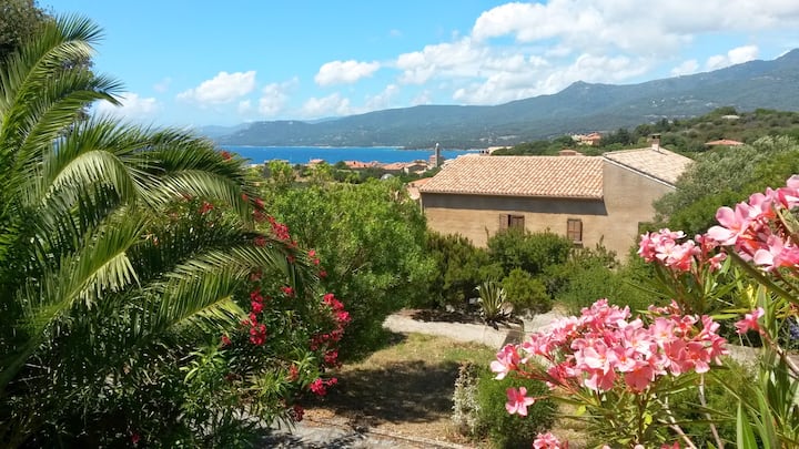 Appartement Avec Terrasse Vue Mer - Propriano
