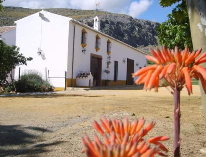 Casa El Castillo - Campillos