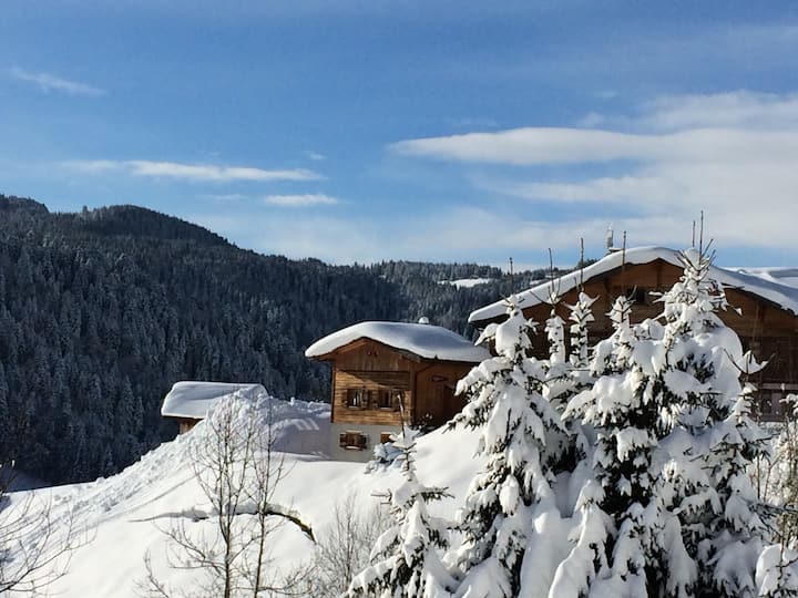 Chalet Les Gets, 3 Pièces, 5 Pers. - Les Gets