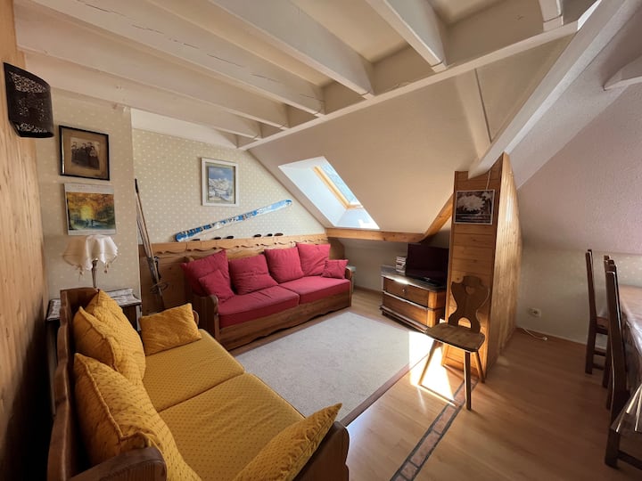 Appartement Villard-de-lans, 4 Pièces, 6 Pers. - Villard-de-Lans