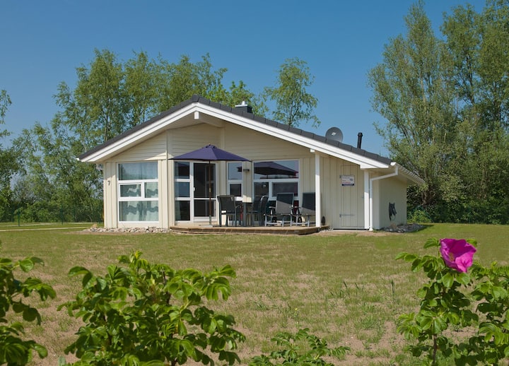 Dänisches Ferienhaus Am Salzhaff, Haus Strandhafer - Insel Poel
