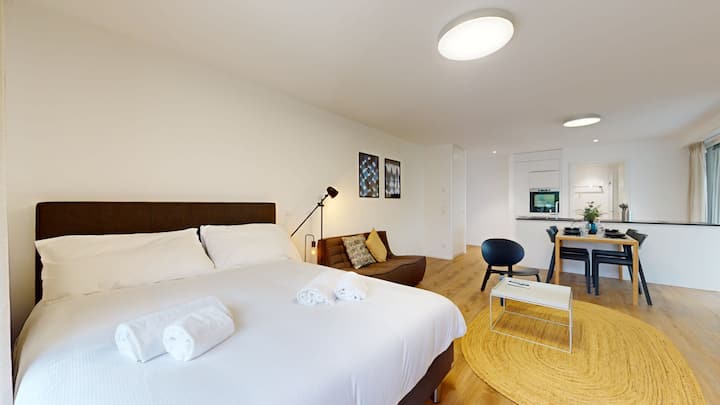 Studio Contemporain Et Lumineux Avec Balcon #B2 - Sion