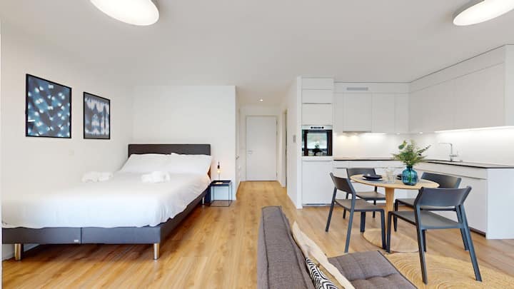 Studio Contemporain Et Lumineux #B3 - Sion
