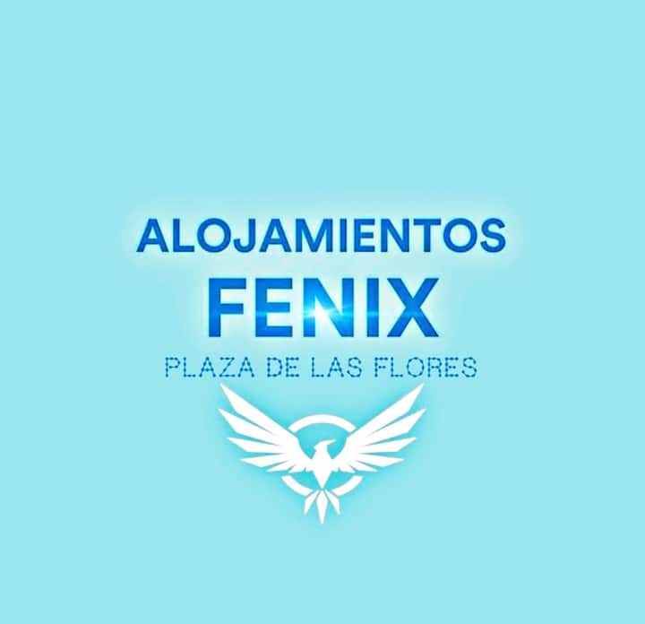 Alojamiento Fenix 3 - Alcantarilla