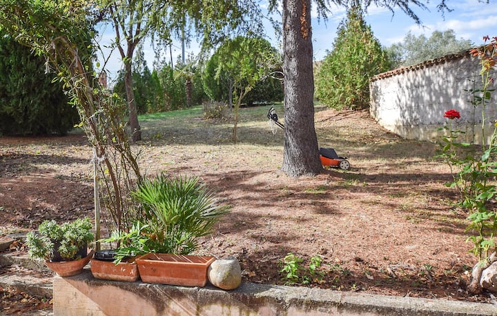 Nice Home In Bellante With Kitchen - Teramo