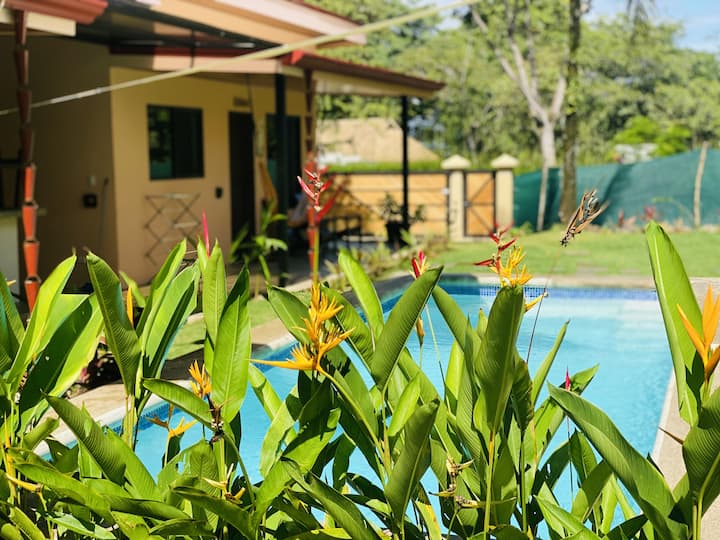 1 Bedroom -Sdb Privée-bungalow-première Classe-vue - Costa Rica