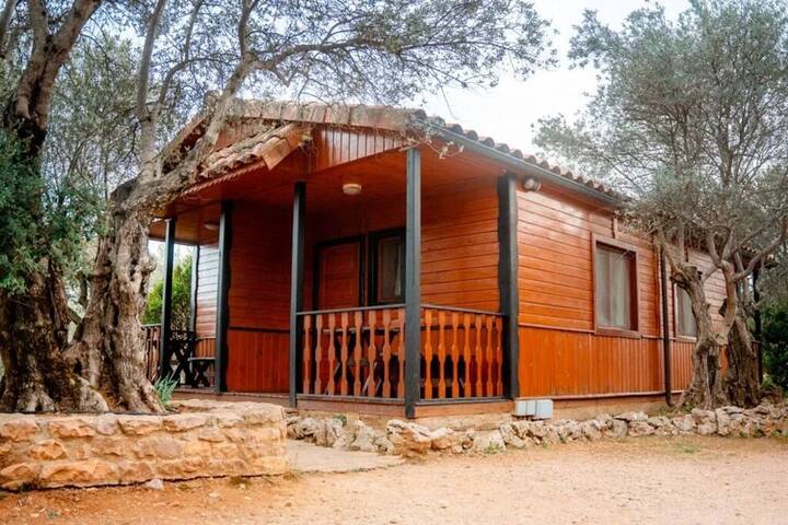 Bungalow Sin Cocina 2 Personas Camas Individuales - Alquézar