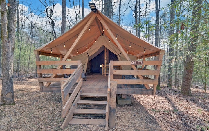 Cohutta - Suches, GA
