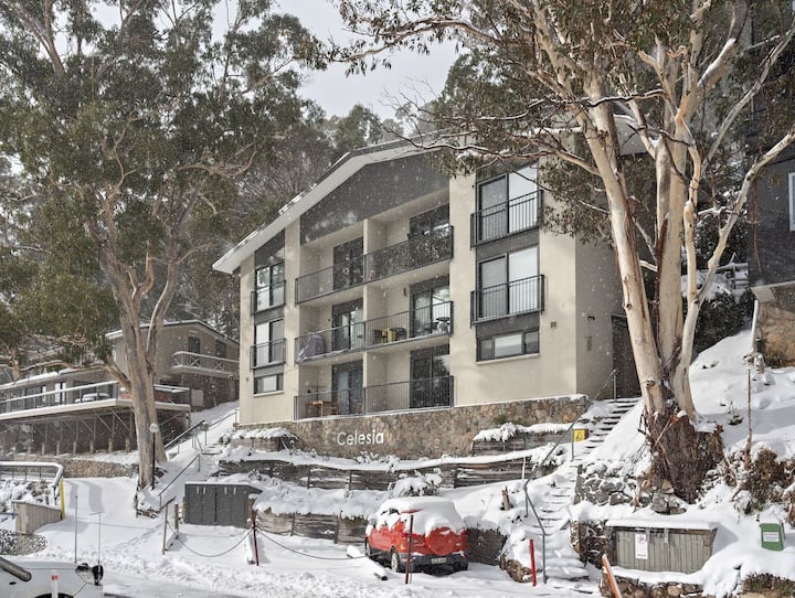 Celesia 2 - Thredbo