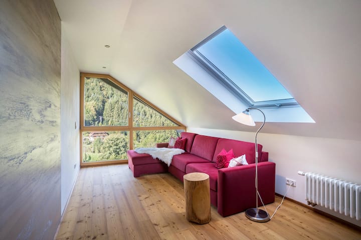 Ferienwohnung Hof, 155qm - Forêt-Noire