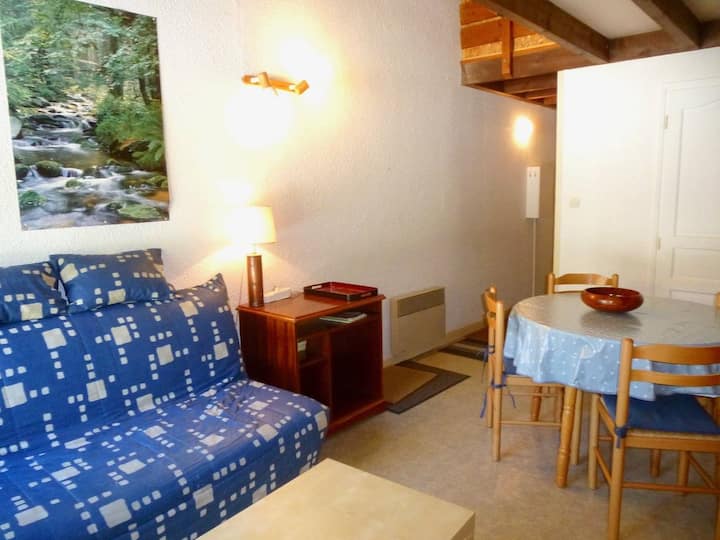 Studio Duplex Avec Place De Parking Dans Le Centre - Piau Engaly