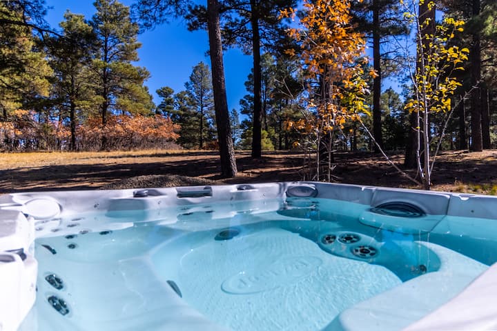 Quiet Area, Hot Tub, Close To Lakes - Pagosa Springs, CO