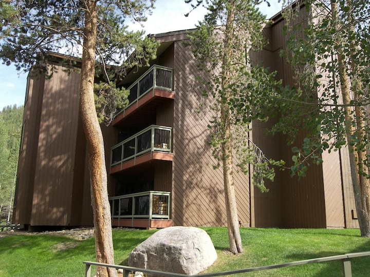 Wild Irishman 2 Bed 2 Bath Deluxe On Shuttle Route - Keystone, CO