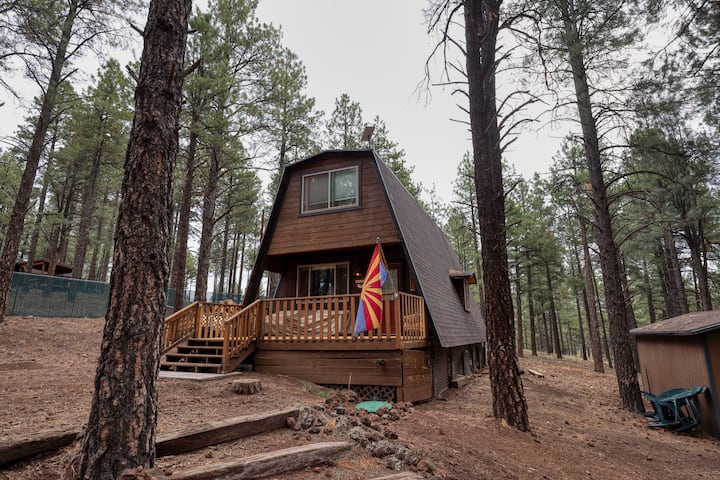 Close To Williams, Flagstaff, Grand Canyon, Sedona - Arizona