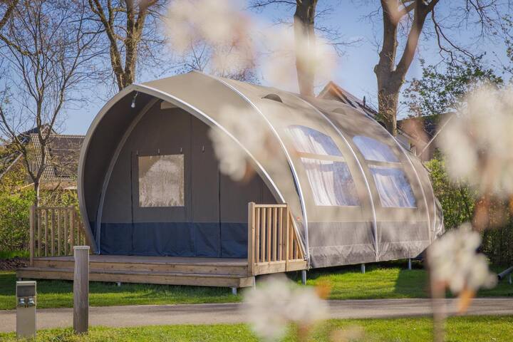 6-person Big Oak Tent - Raalte