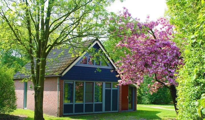 2-4 - Person Bungalow Ijssel Comfort - Raalte