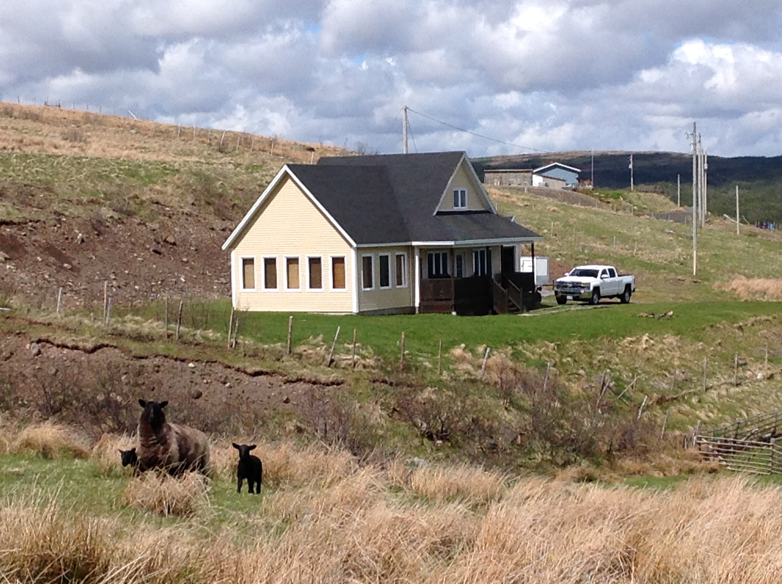 Beautiful Oceanfront Cottage in Branch - Cabins for Rent in Branch ...